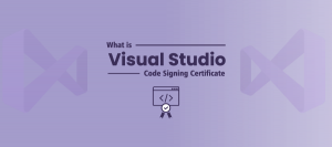 What is Visual Studio Code Signing Certificate [Detailed Guide]