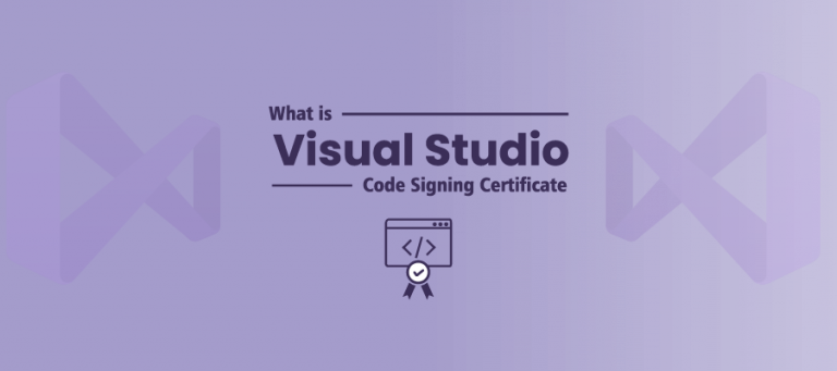 What is Visual Studio Code Signing Certificate [Detailed Guide]