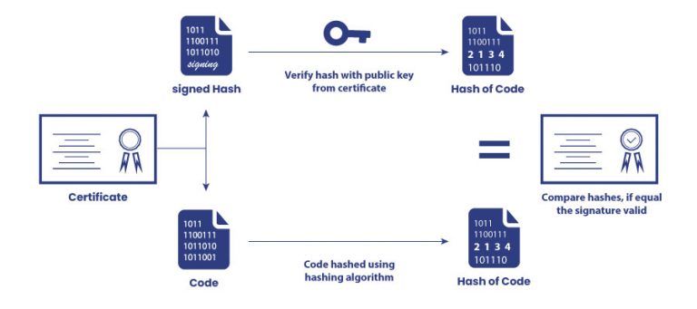 Common Malware and Software Security Threats You Should Know
